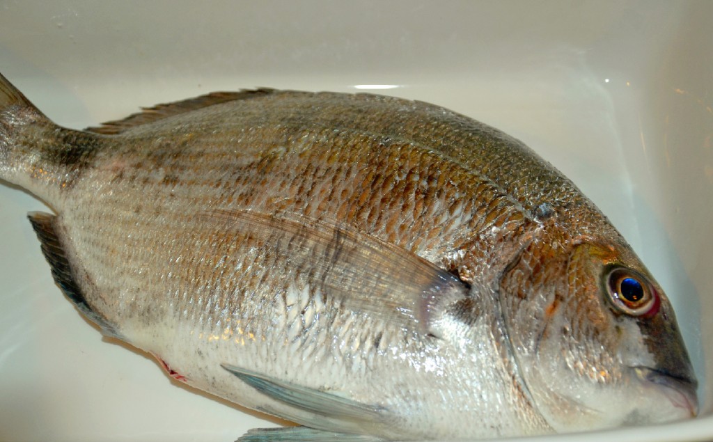 Receita Sargo selvagem no forno - Ingredientes